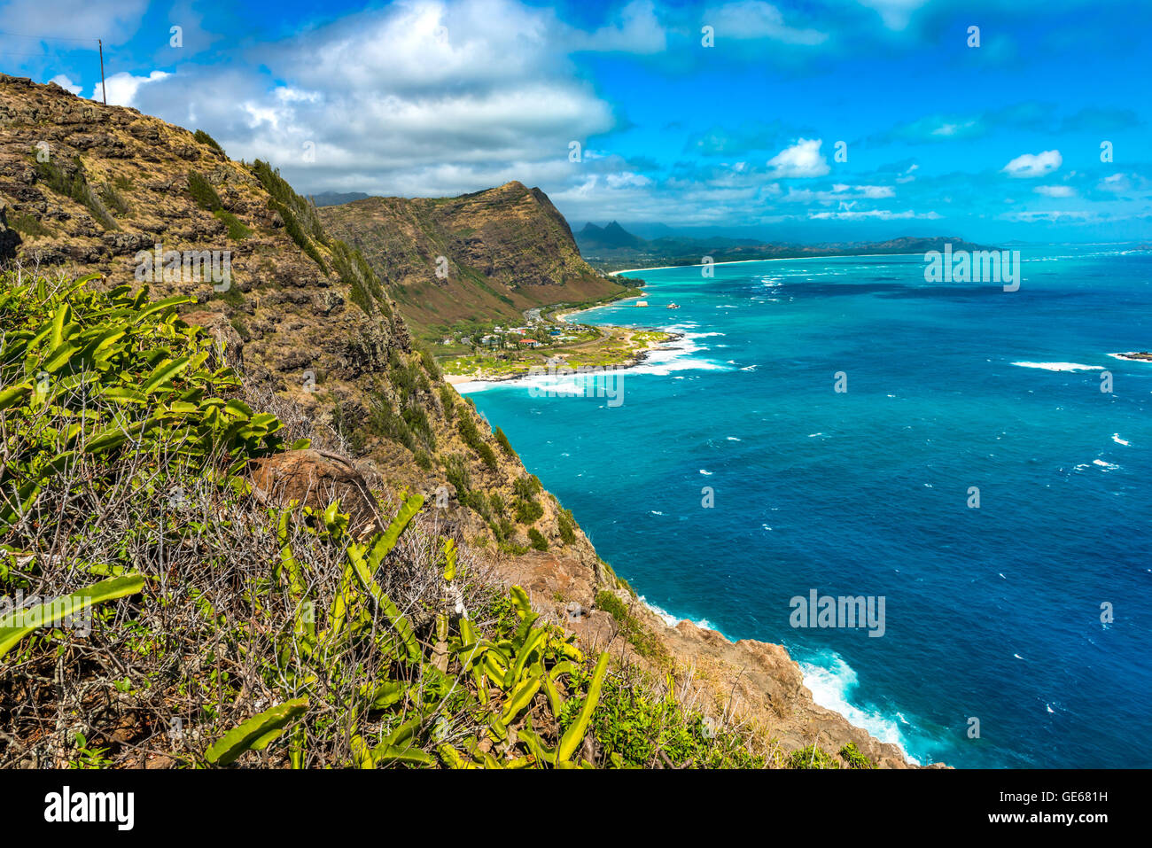 Rabbit island hi-res stock photography and images - Alamy