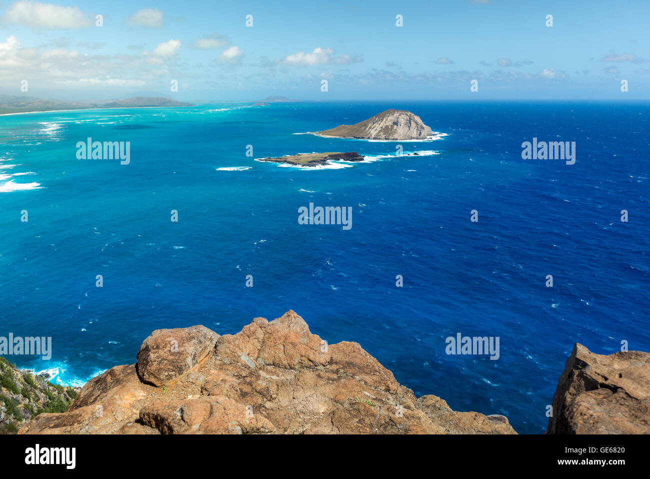 Rabbit island hi-res stock photography and images - Alamy