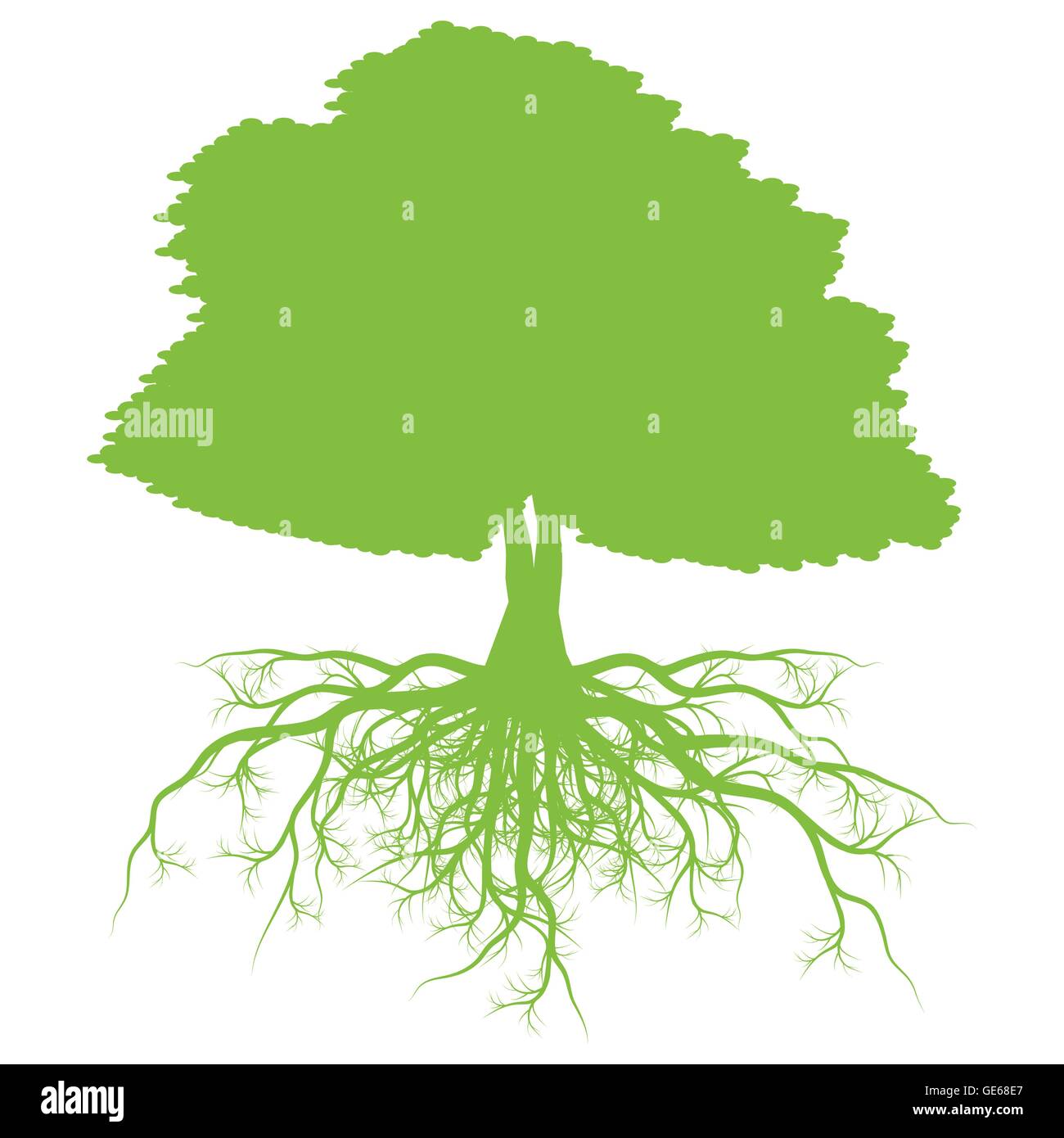 Tree with roots background ecology vector concept for poster Stock ...