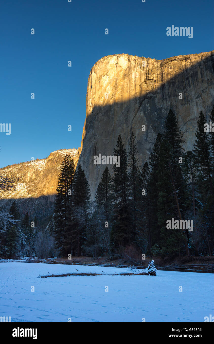 El Capitan in the winter Yosemite National Park Stock Photo - Alamy