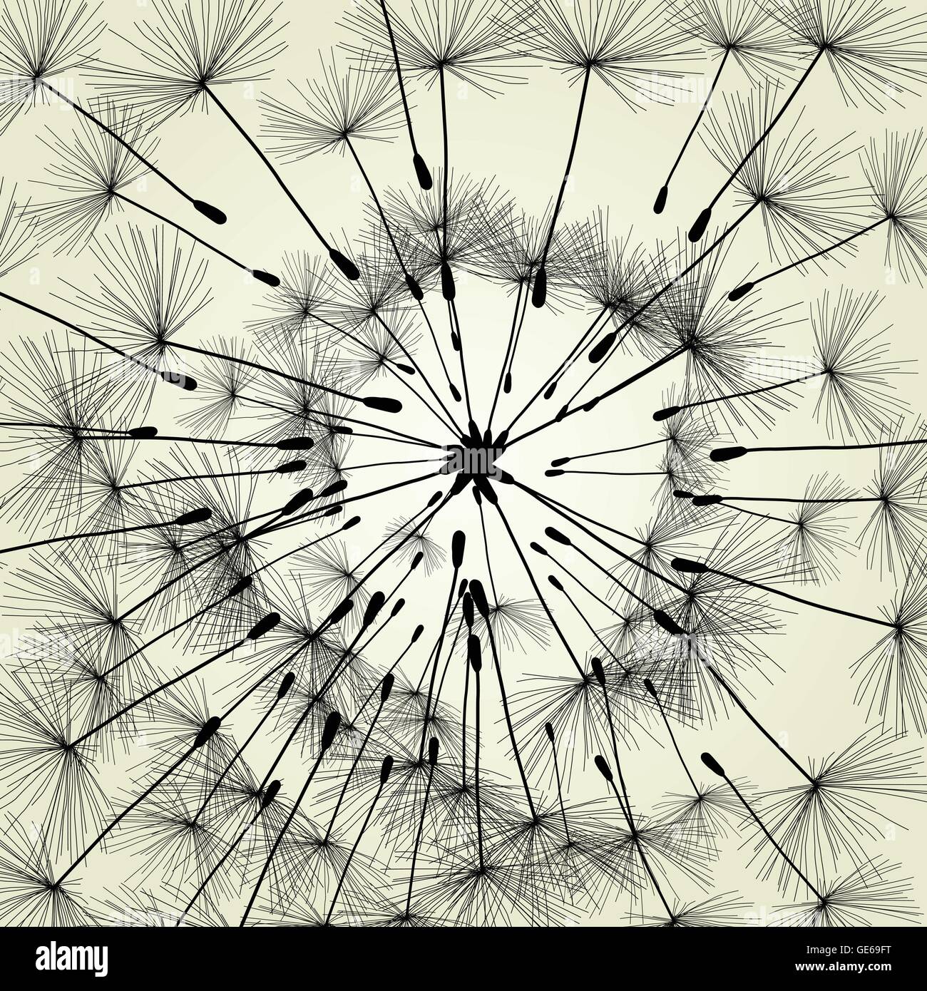 Abstract dandelion background vector Illustration spring concept Stock ...