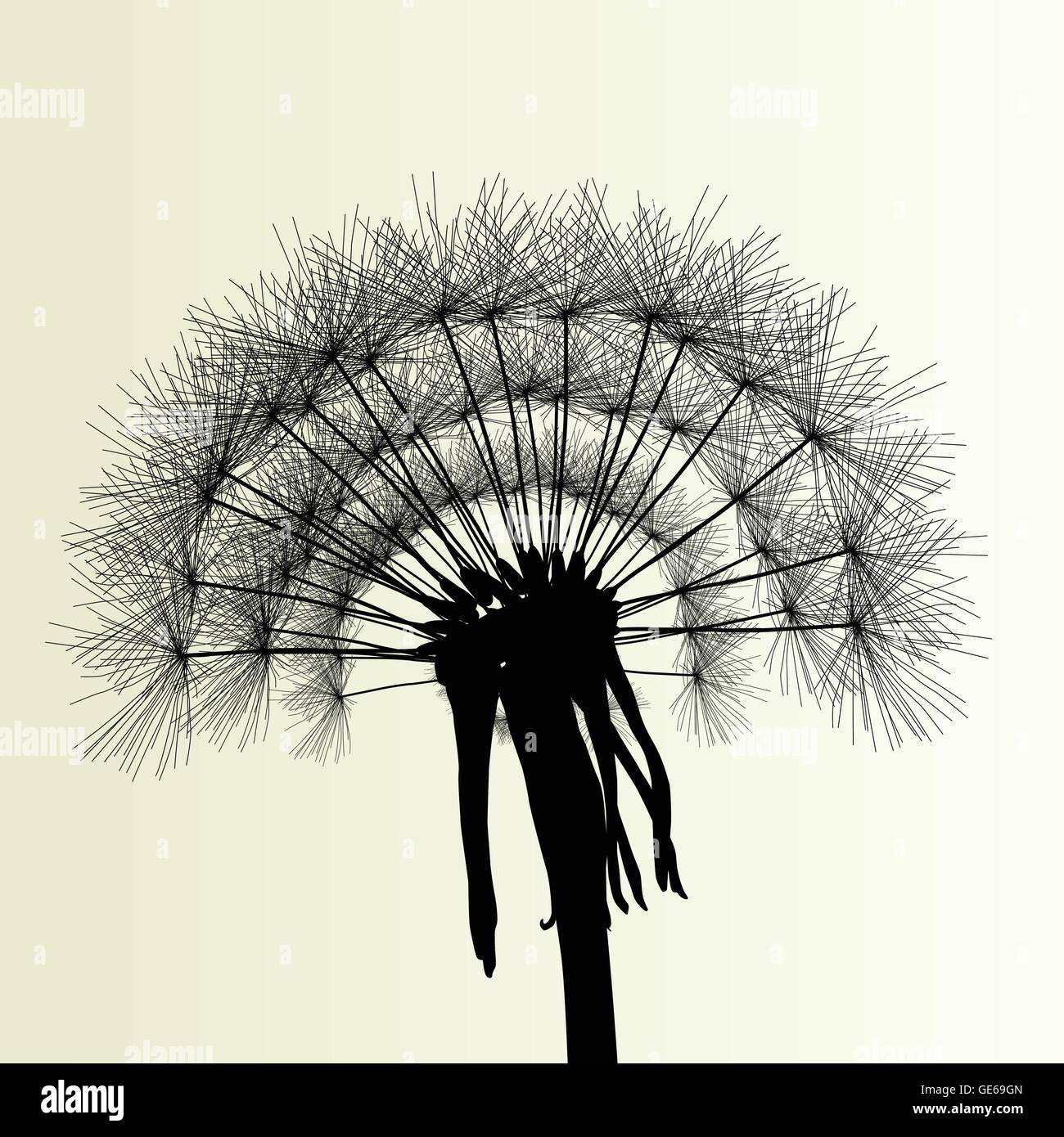 Abstract dandelion background vector Illustration spring concept Stock ...