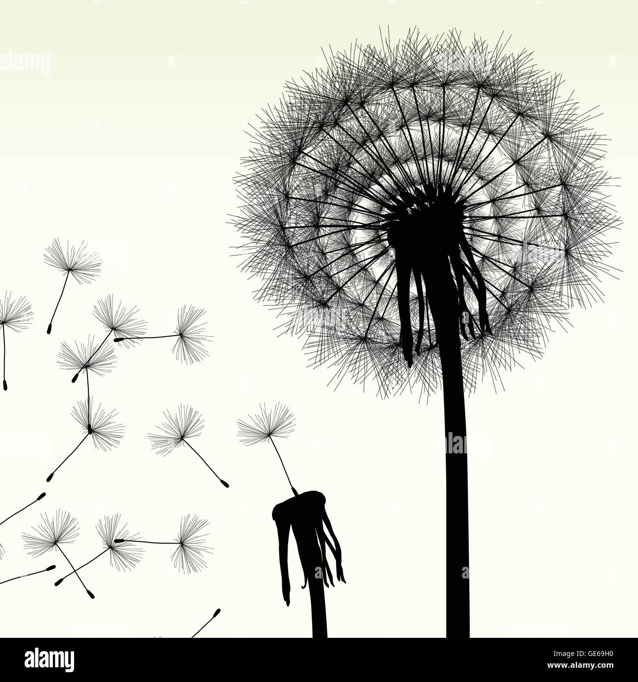 Abstract dandelion background vector Illustration spring concept Stock ...