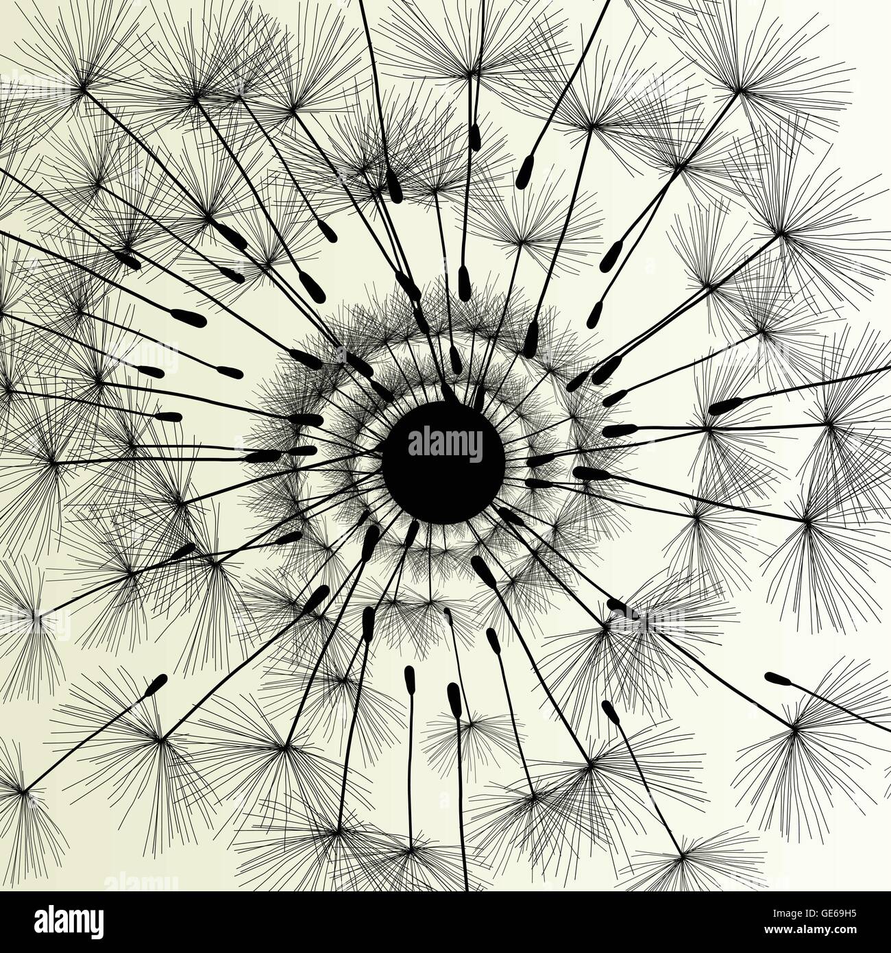 Abstract dandelion background vector Illustration spring concept Stock ...