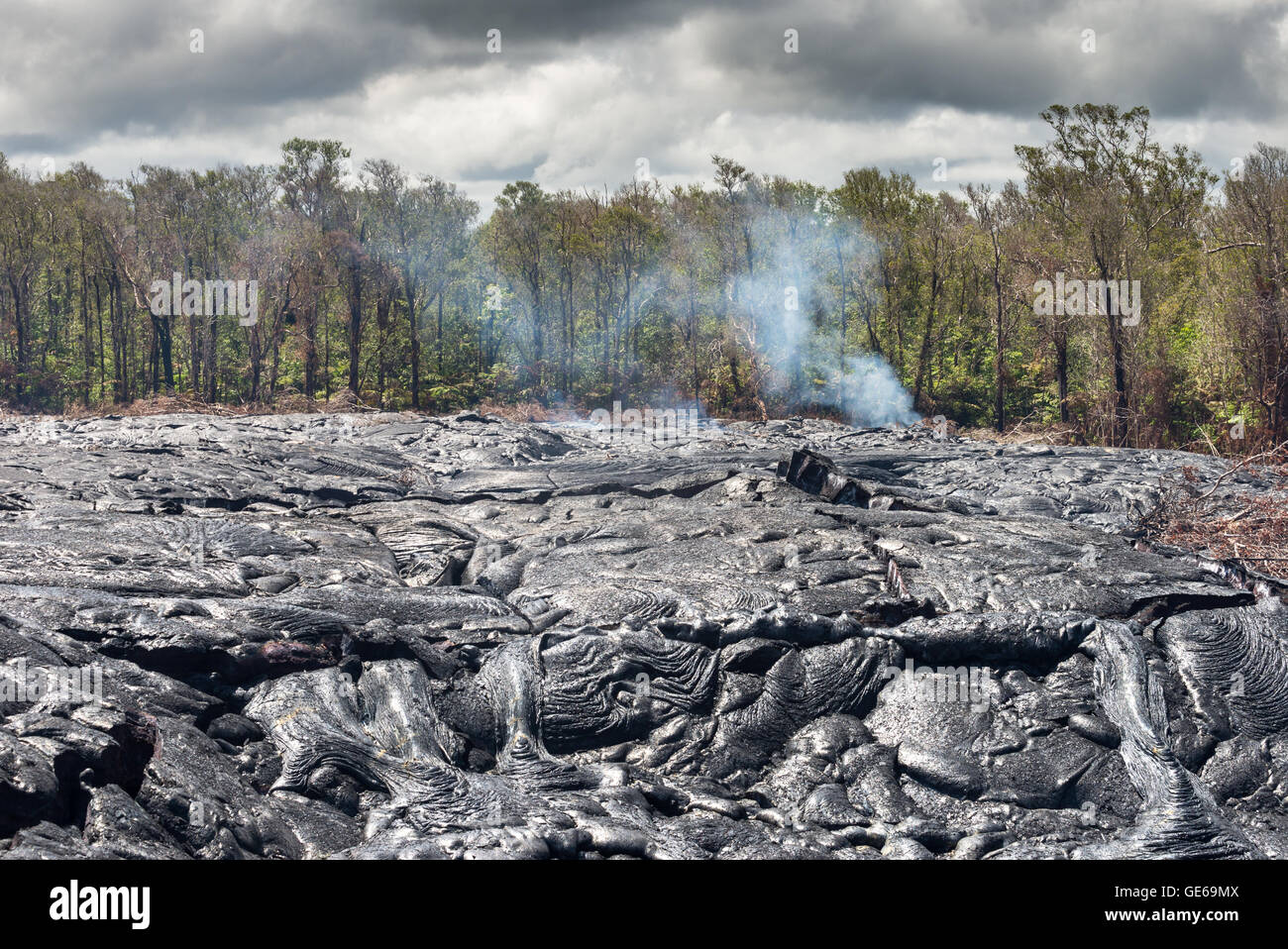 Lava flow in lava field, Hawaii volcanoes National Park Stock Photo - Alamy