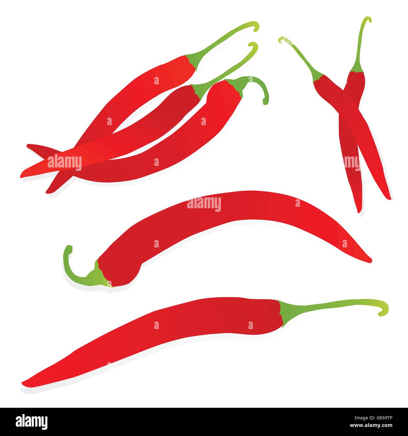 Red chili pepper detailed illustration collection background vector ...