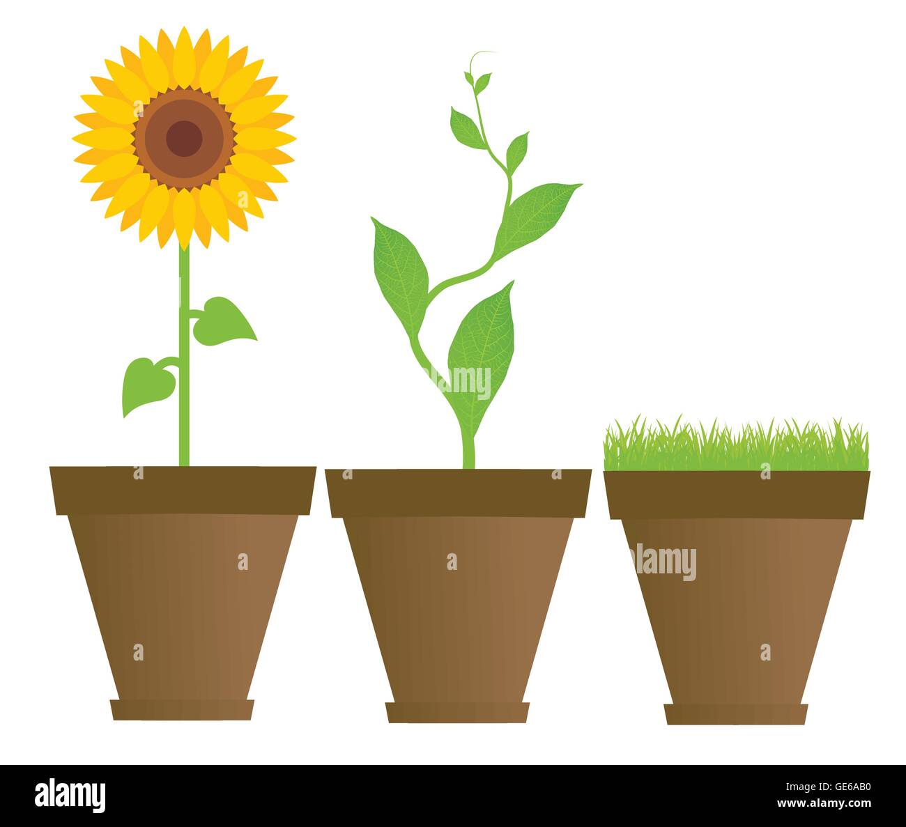 Pretty pots Stock Vector Images - Alamy