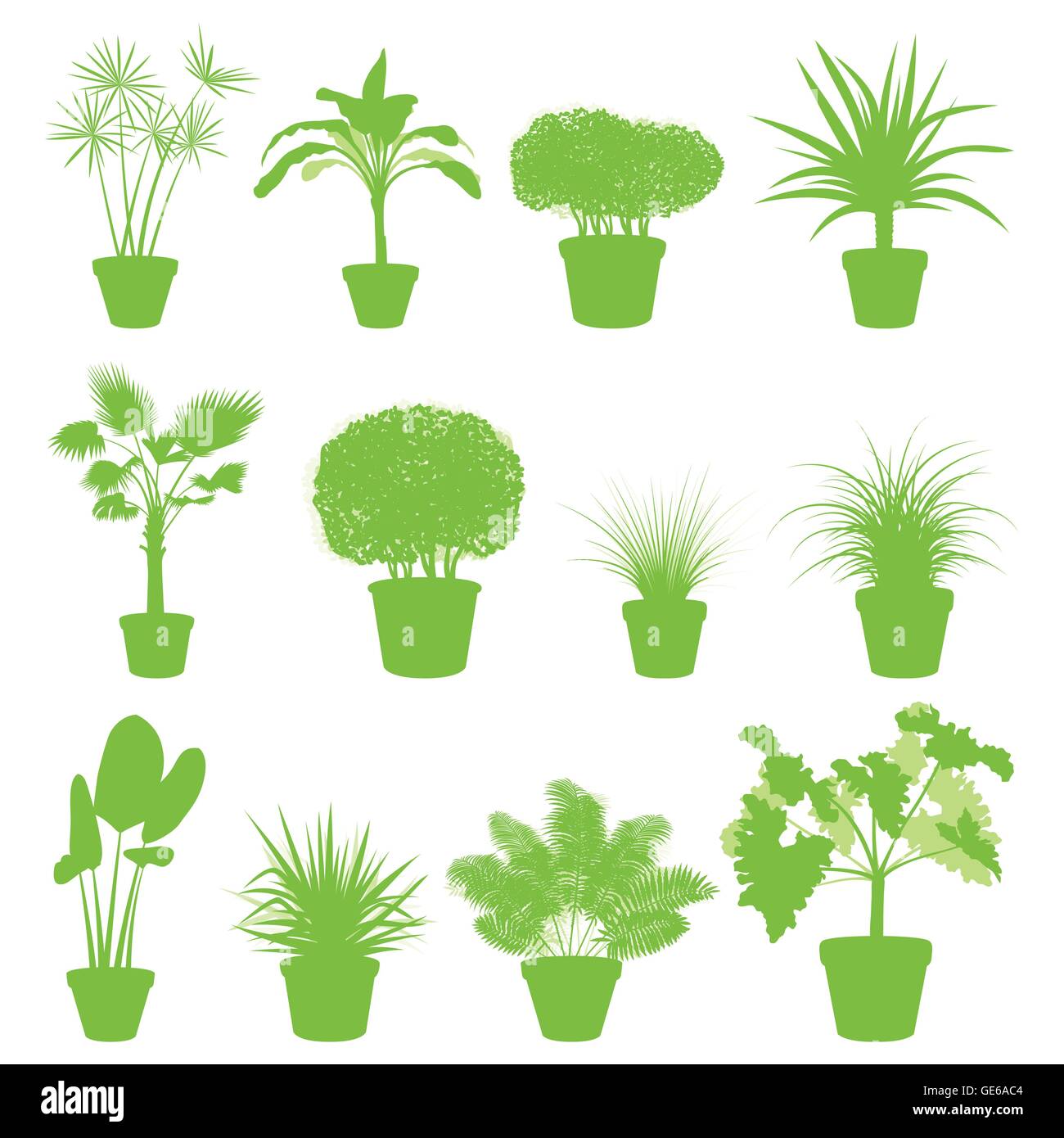 House indoor plants in pots set vector background green concept for ...