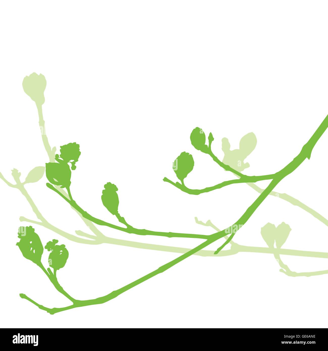 Spring buds, gentle leaves and branches vector background ecology green ...