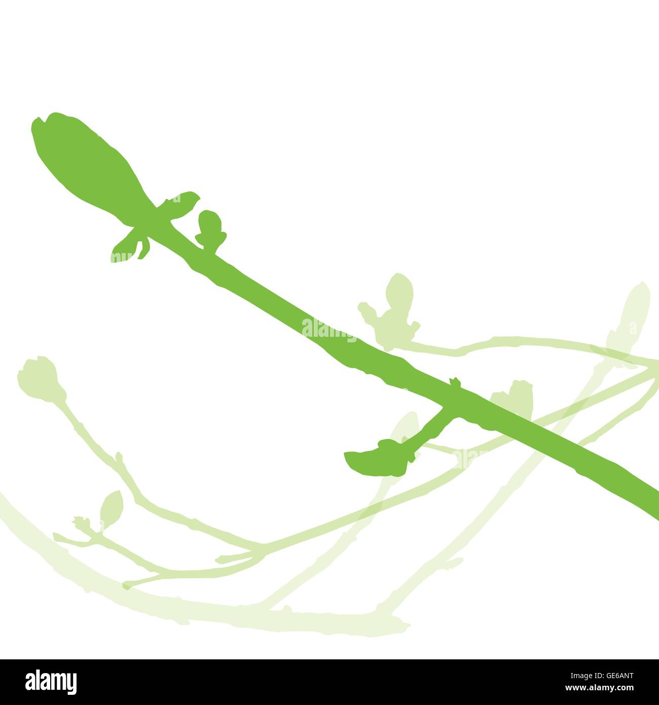 Foreground tree branches Stock Vector Images - Alamy