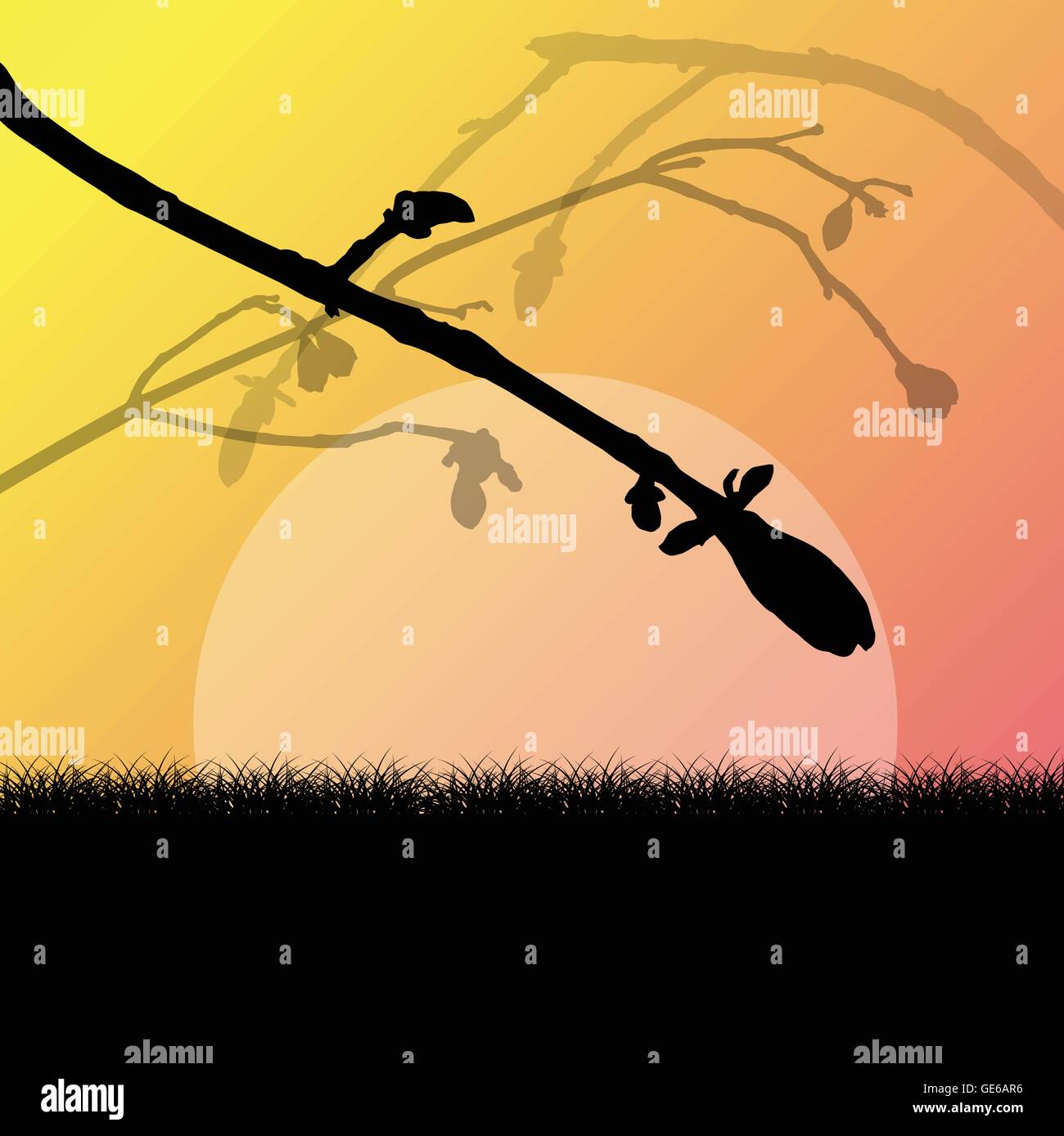 Budding Stock Vector Images - Alamy