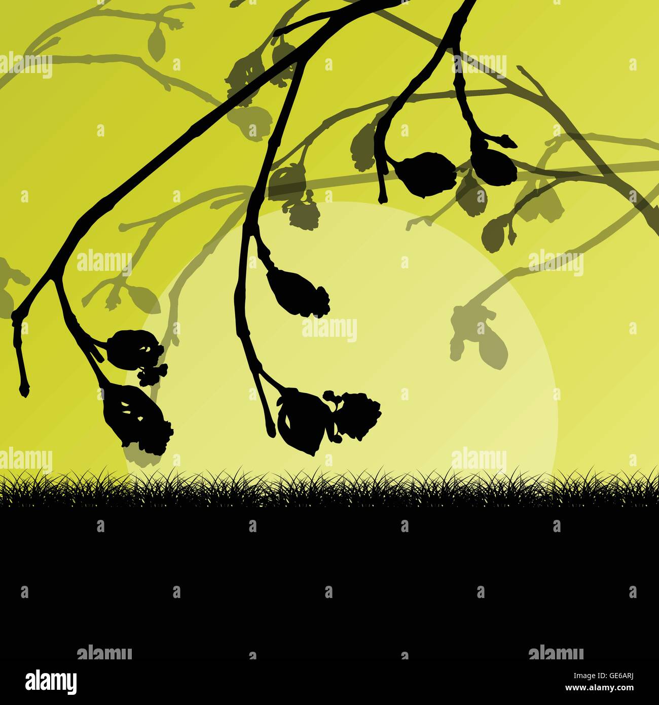 Budding Stock Vector Images - Alamy