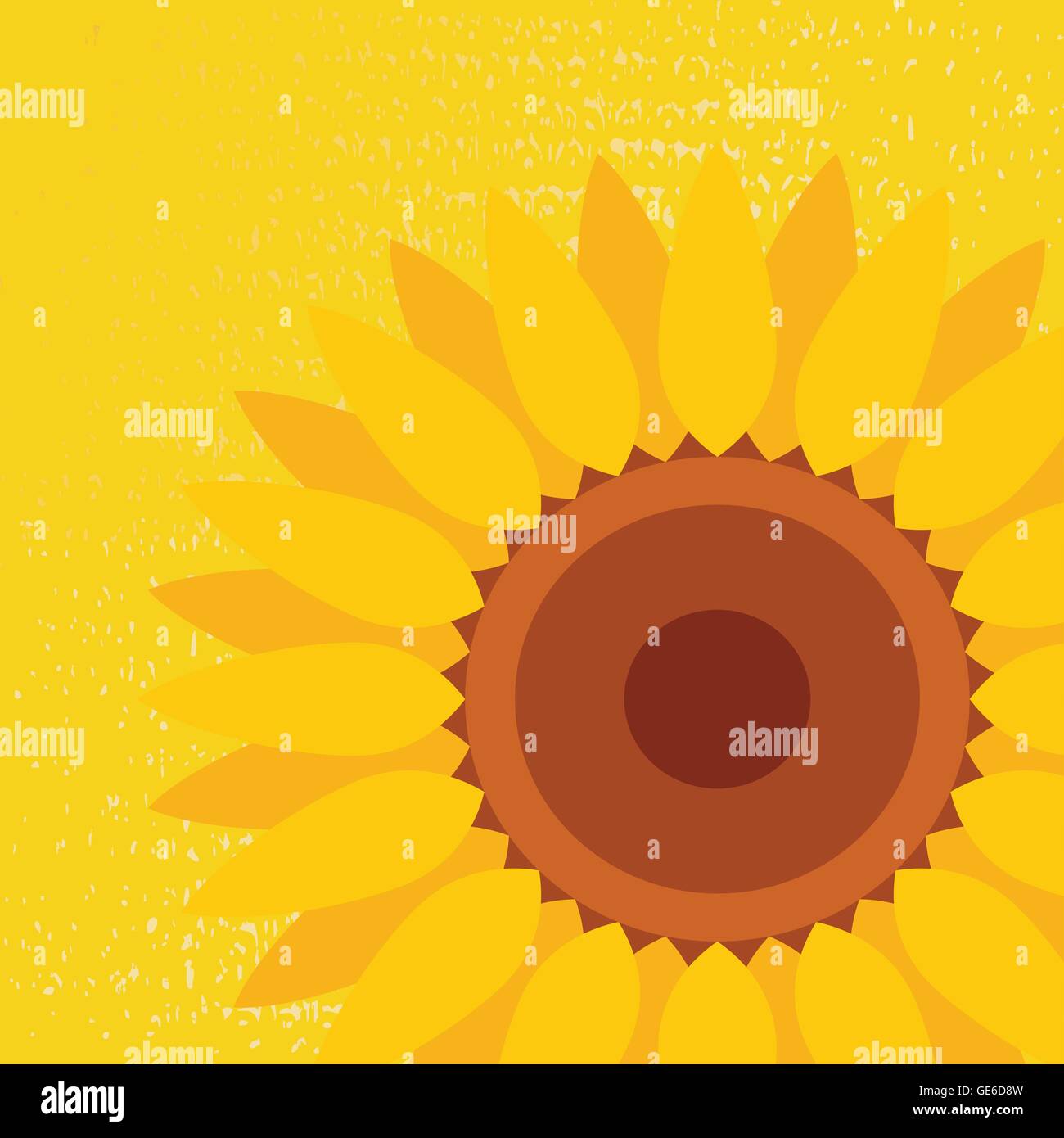 Sunflower vector abstract background Stock Vector Image & Art - Alamy