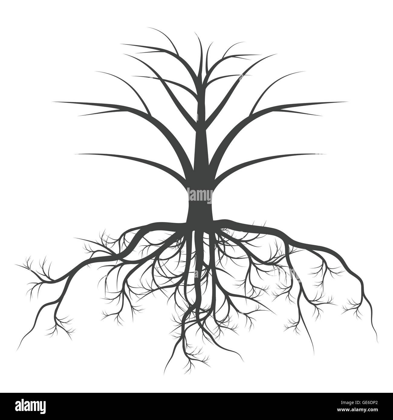Tree with roots background vector concept for poster Stock Vector Image ...