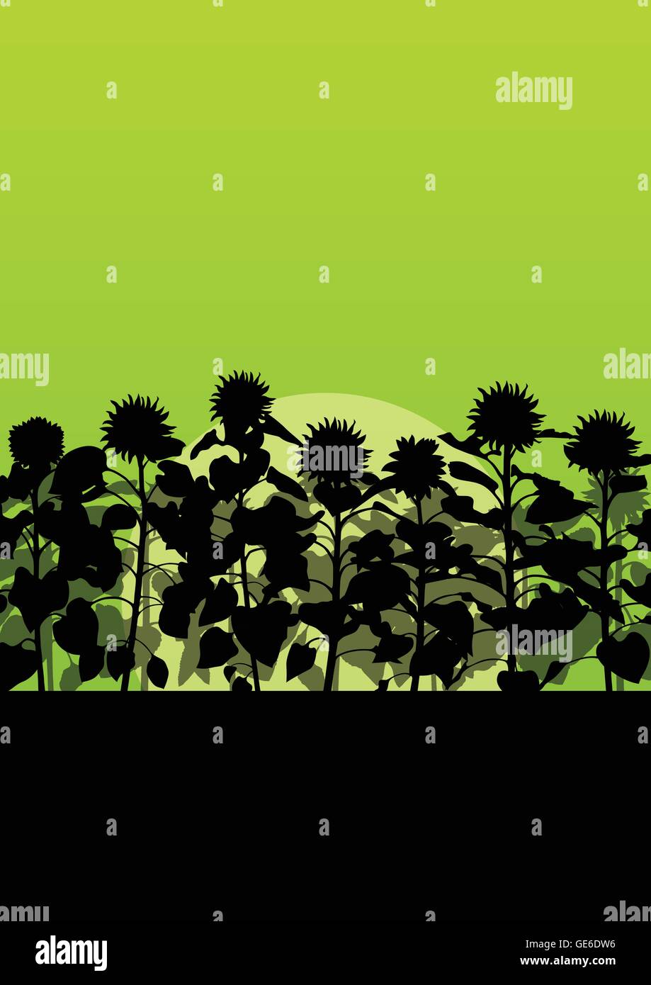 Sunflower field landscape vector background concept for poster Stock ...