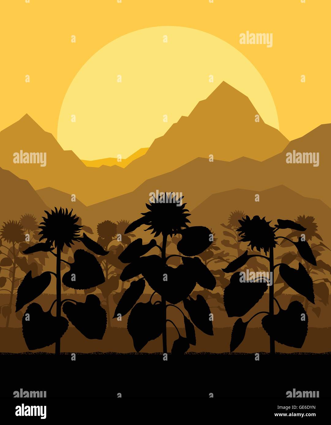 Sunflower field landscape vector background concept for poster Stock ...