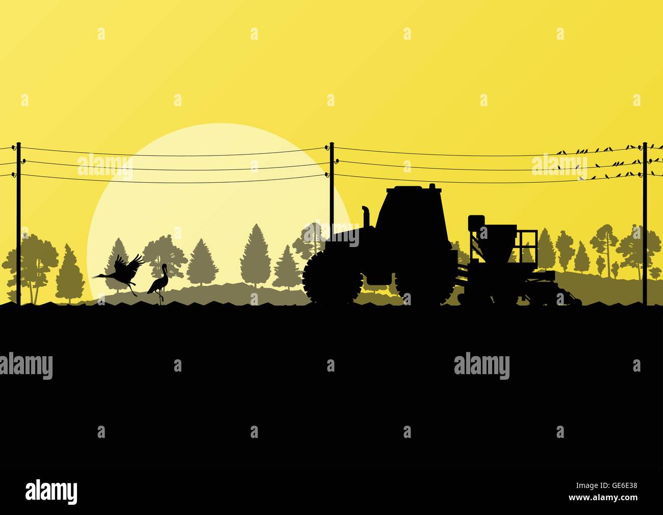 Agriculture tractor sowing crop in cultivated country field landscape ...