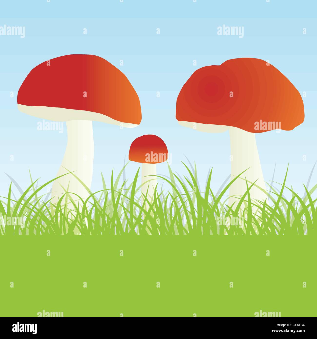 Mushrooms vector background concept Stock Vector Image & Art - Alamy