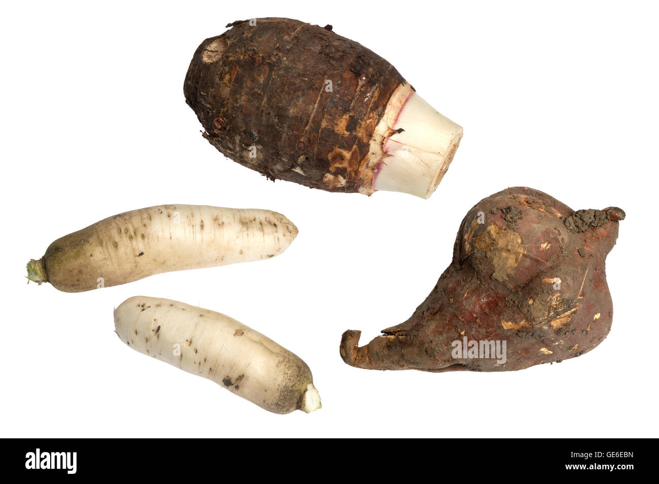 Taro root hi-res stock photography and images - Alamy
