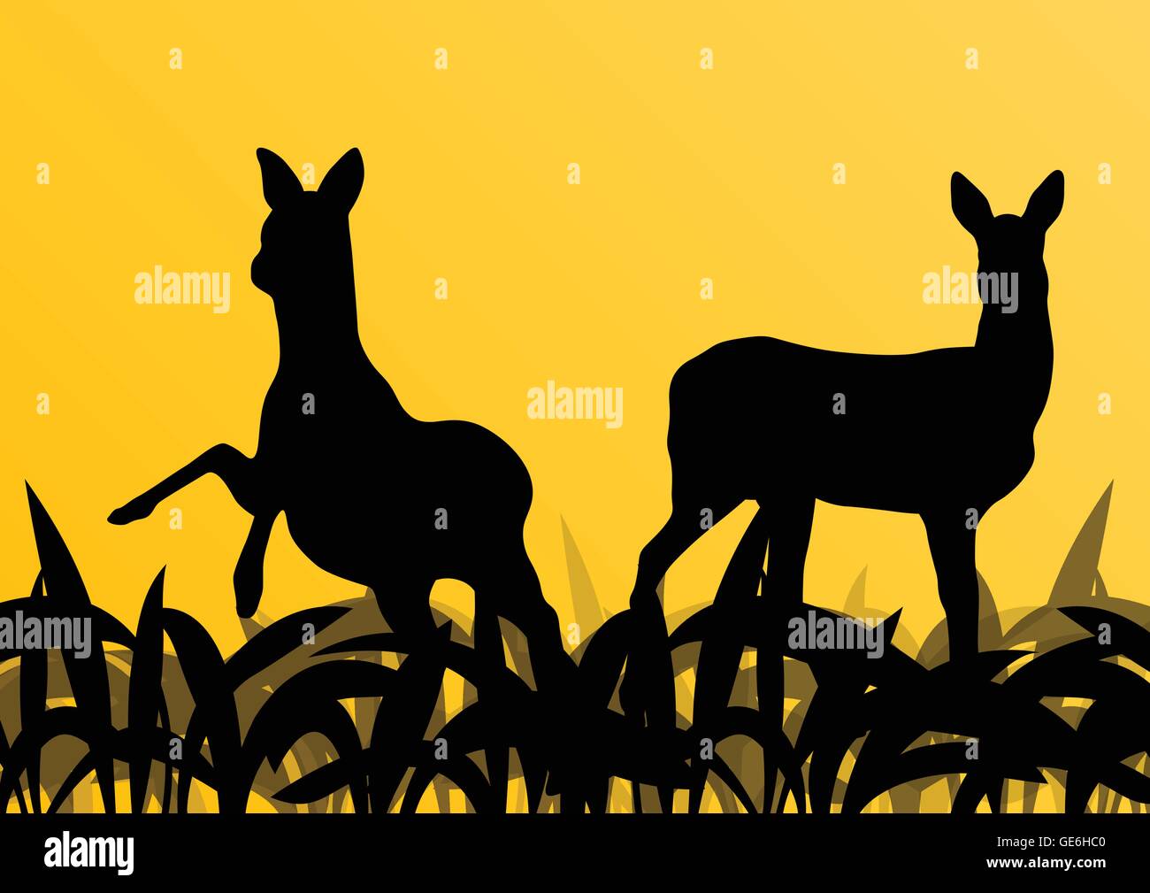 Whitetailed doe Stock Vector Images - Alamy