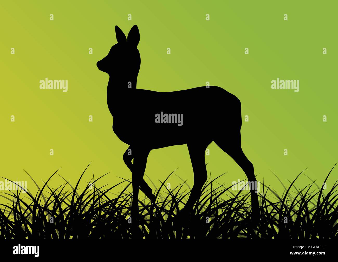 Deer doe in grass field vector background ecology concept Stock Vector ...