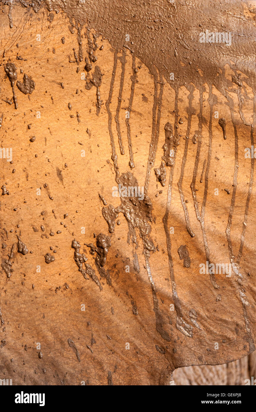 Mud streaks hi-res stock photography and images - Alamy
