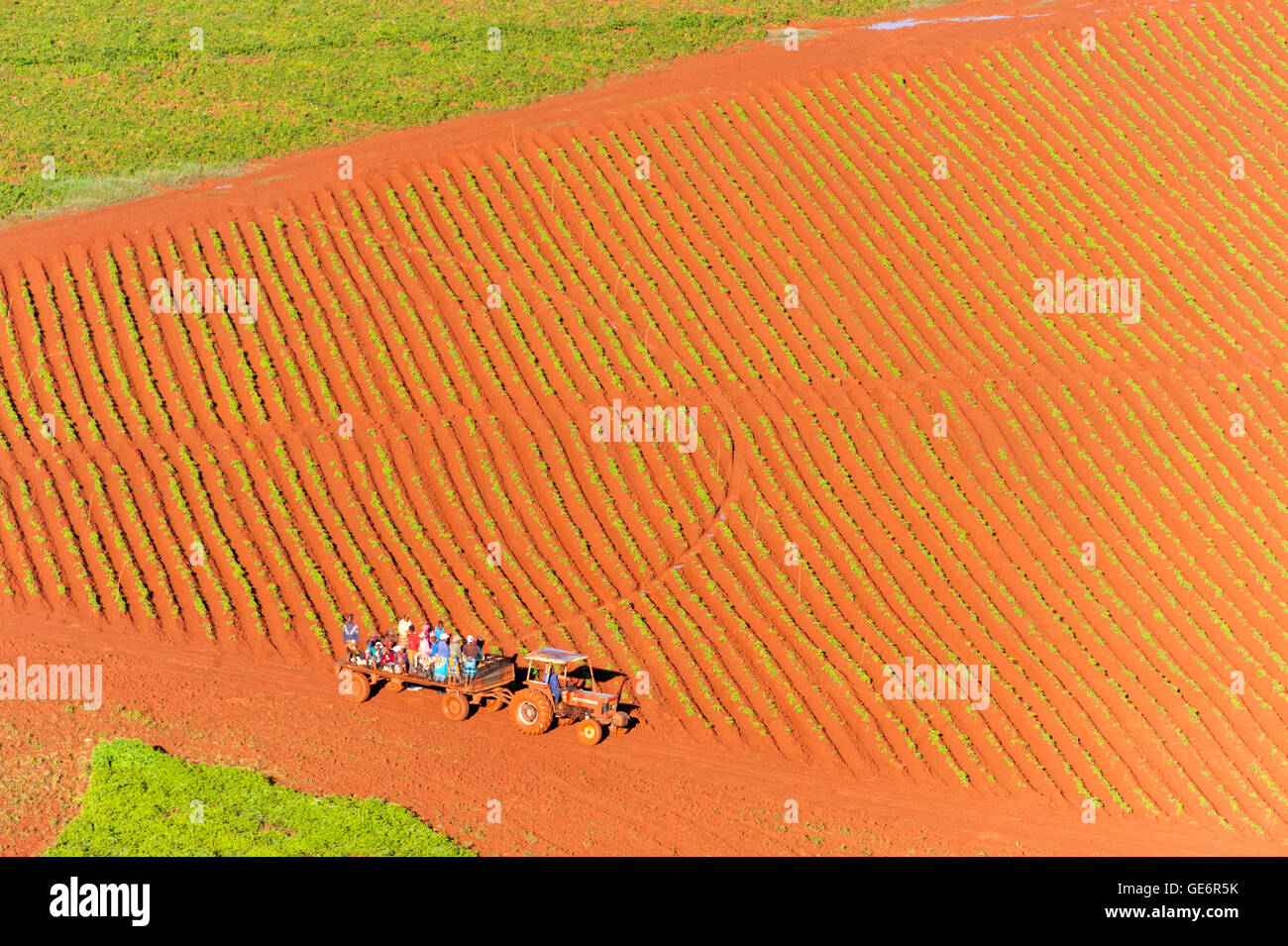 Farmers planting crops hi-res stock photography and images - Alamy