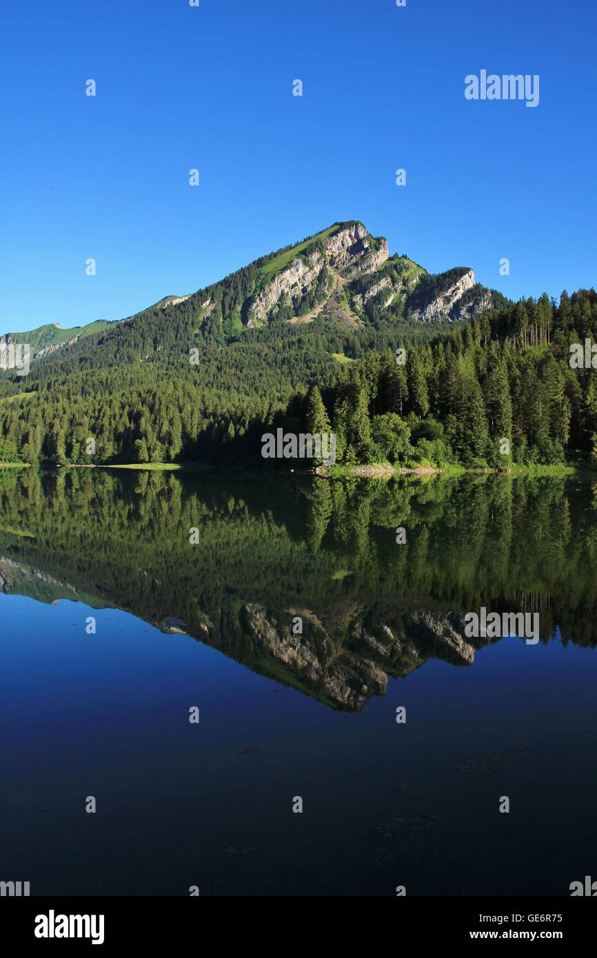 Summer scene in the Swiss Alps Stock Photo - Alamy