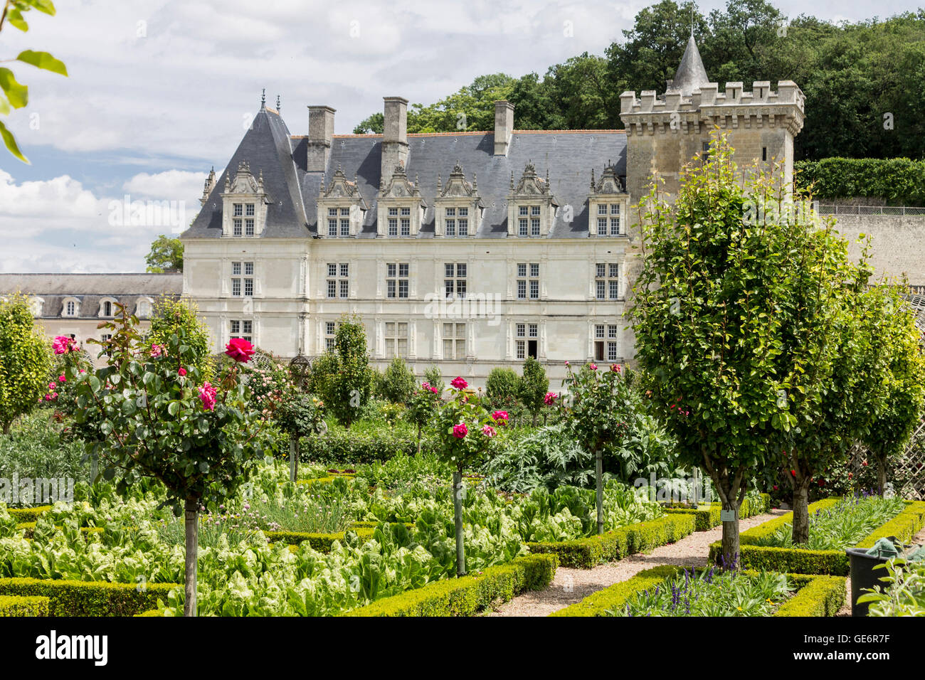 Chateau Villandry Gardens Loire Valley France Stock Photo - Alamy