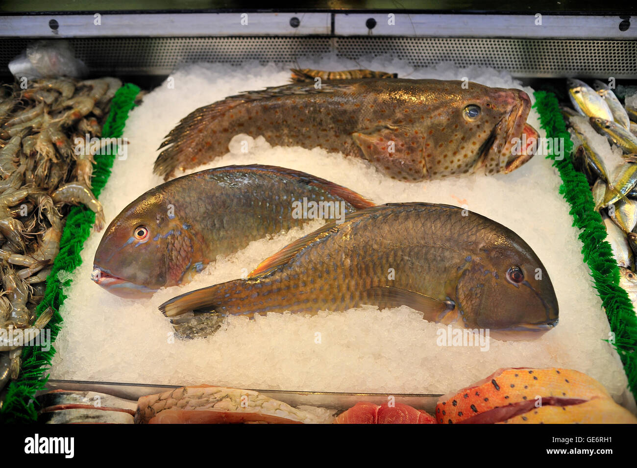 Rustan's Supermarket Ayala Center Cebu City Philippines Stock Photo - Alamy