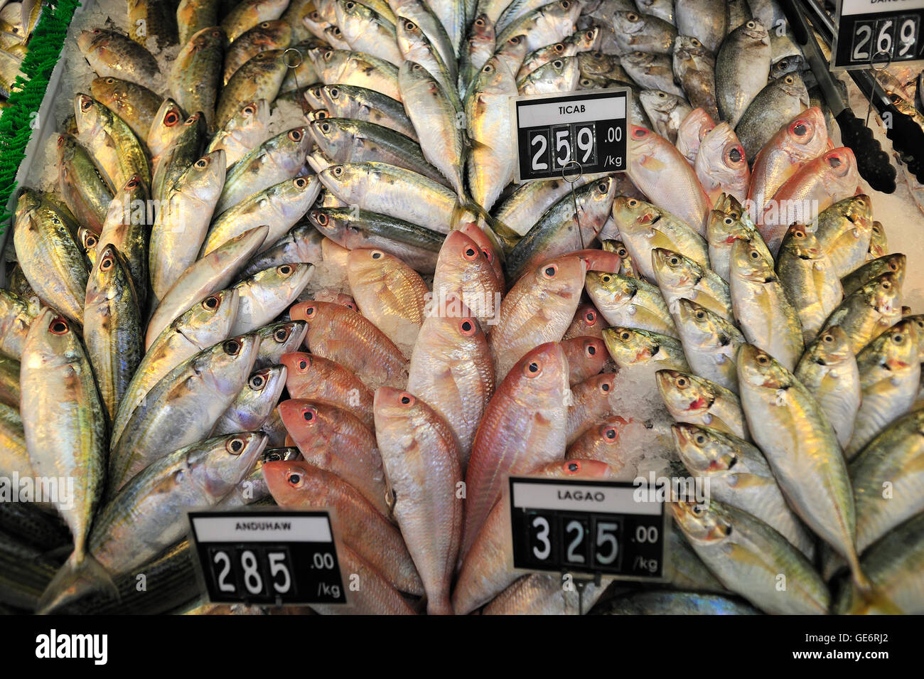 Fresh fish for sale at Rustan's Supermarket Ayala Center Cebu City ...