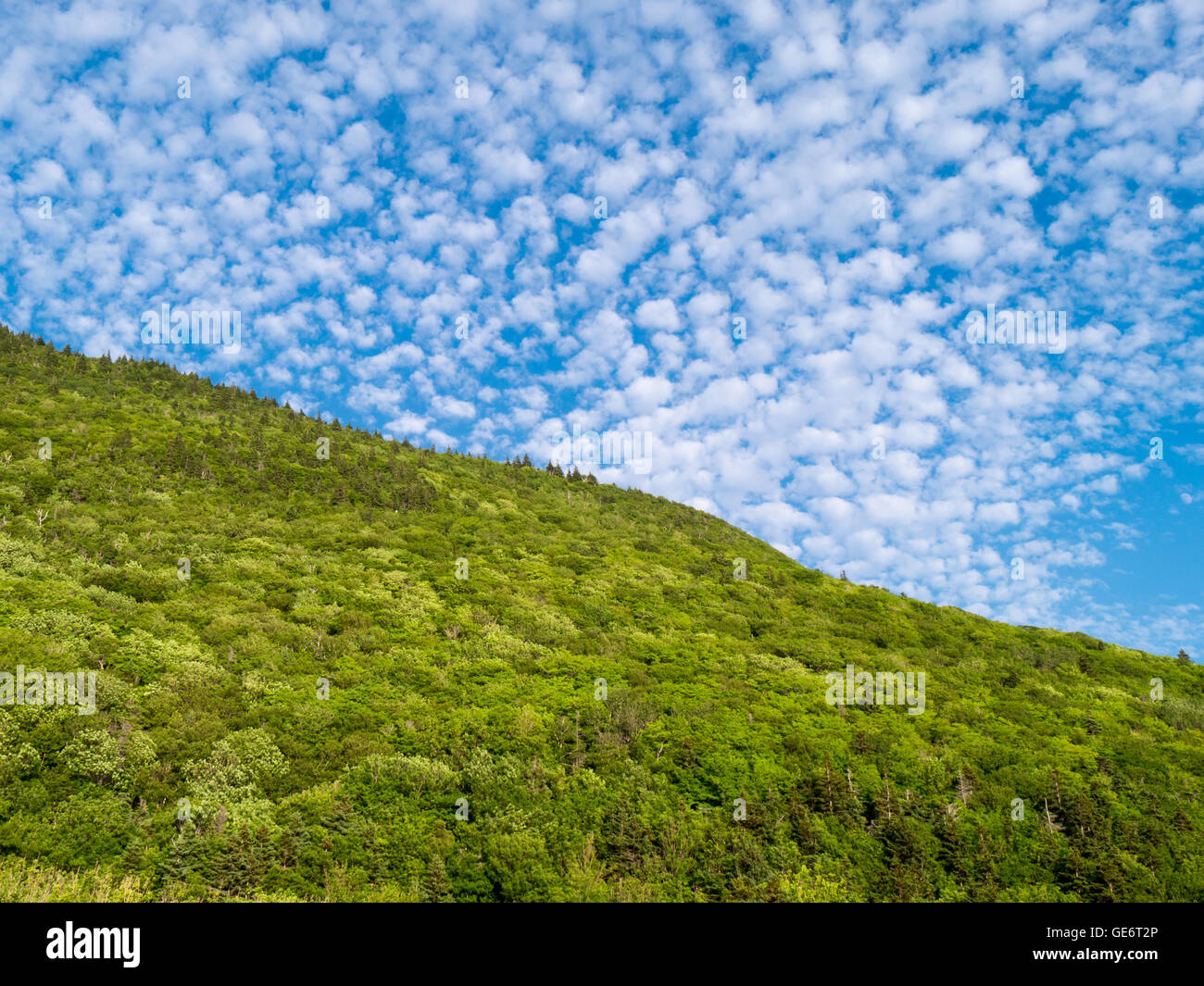 Scattered clouds in blue blue sky over hill covered in green trees ...