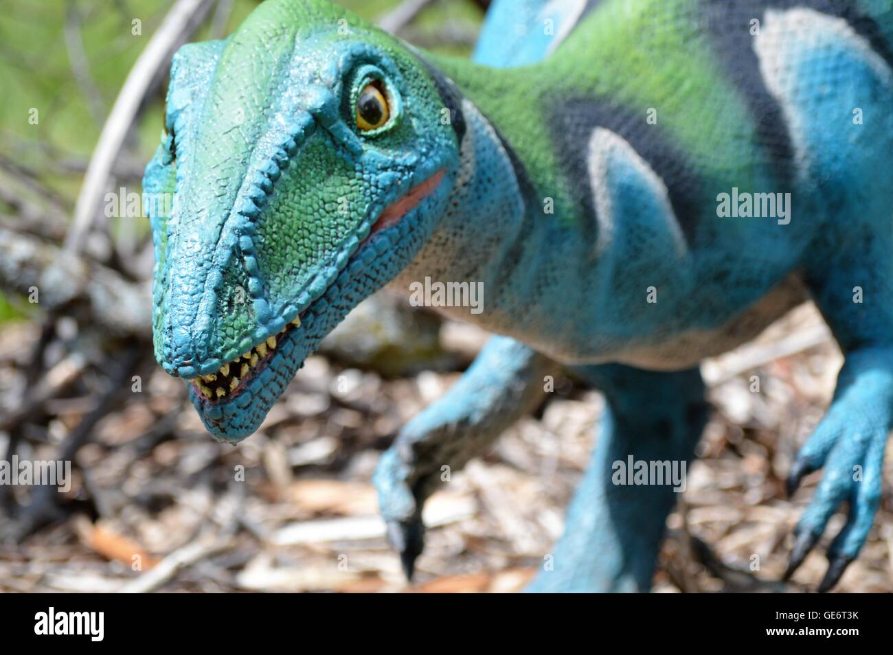 Velociraptor dinosaur at the zoo Stock Photo - Alamy