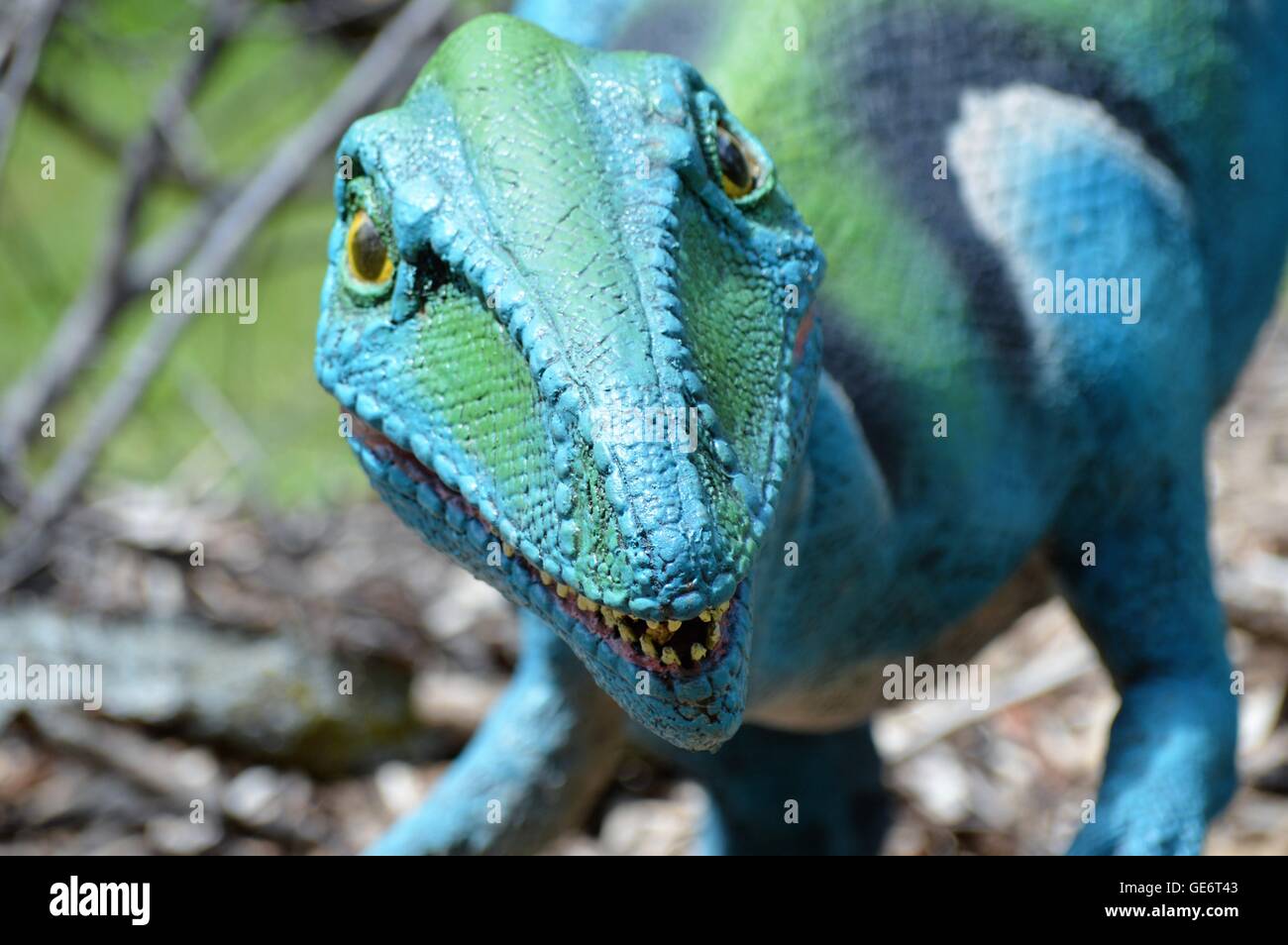 Velociraptor dinosaur at the zoo Stock Photo - Alamy