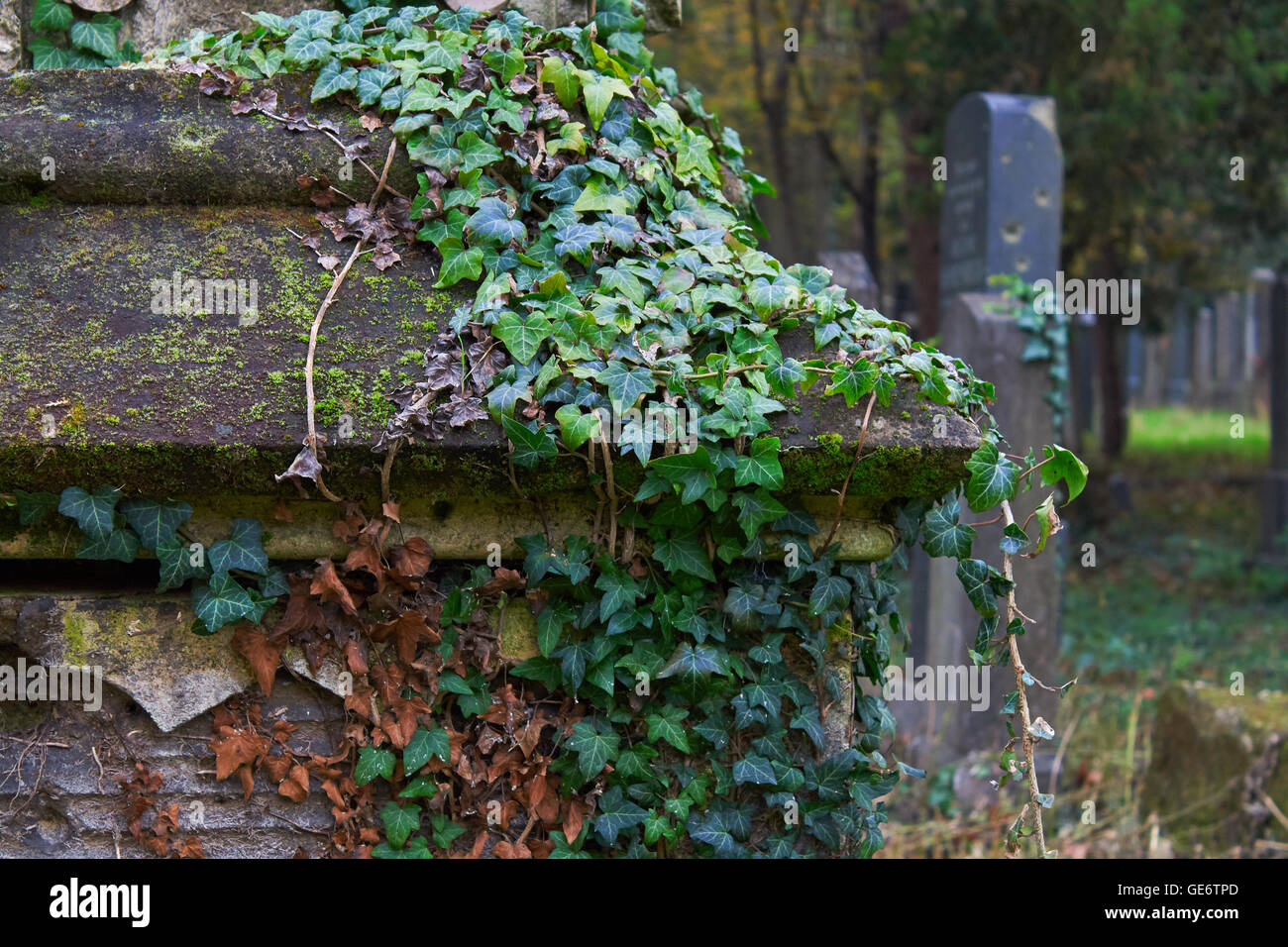 Ivy cemetery hi-res stock photography and images - Alamy