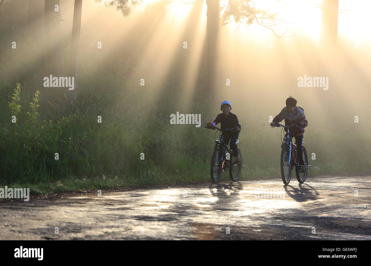 Children go to school through beautiful morning sunray Stock Photo - Alamy