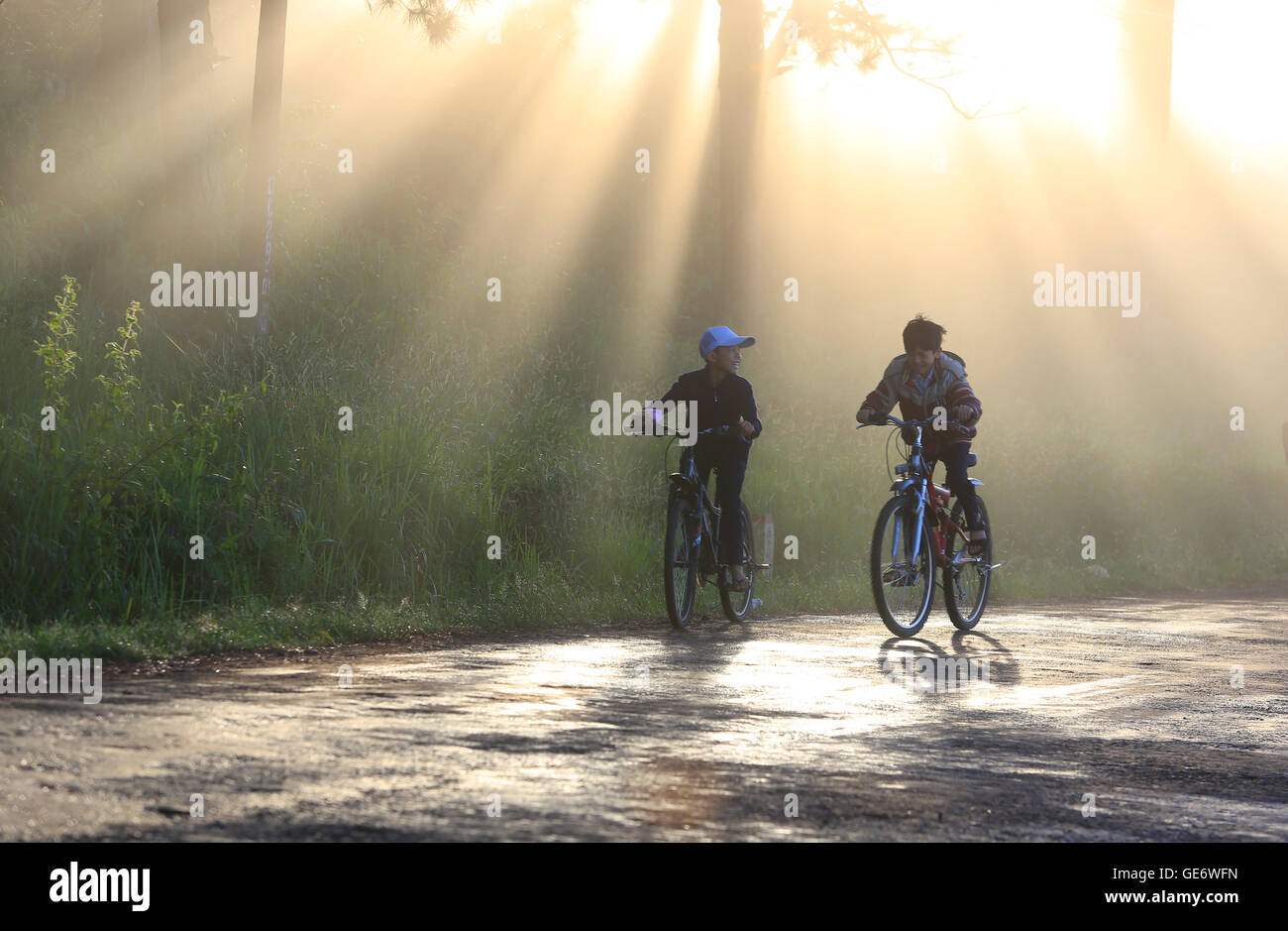 Children go to school through beautiful morning sunray Stock Photo - Alamy