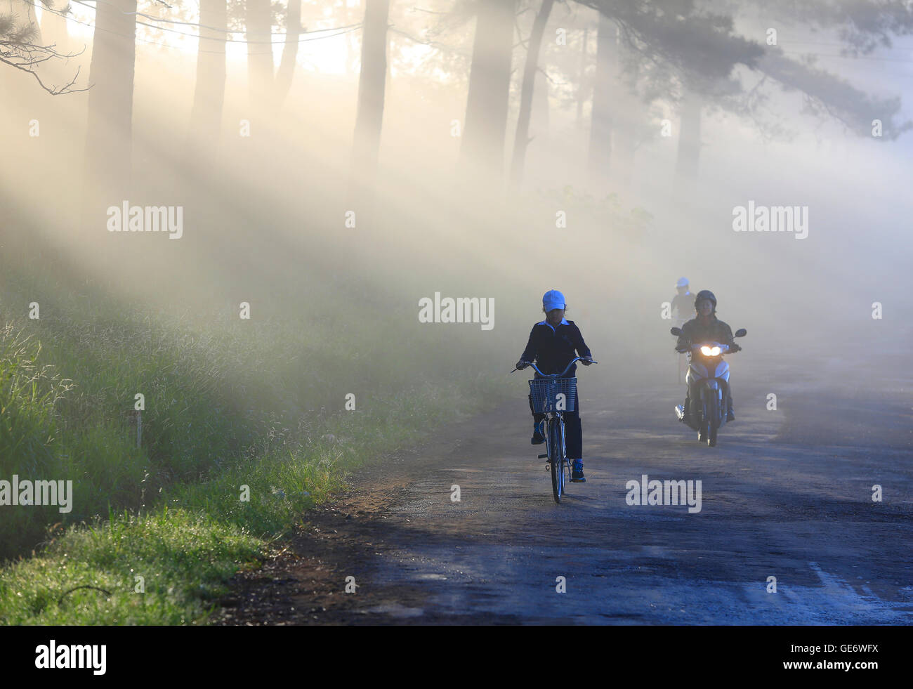 Children go to school through beautiful morning sunray Stock Photo - Alamy