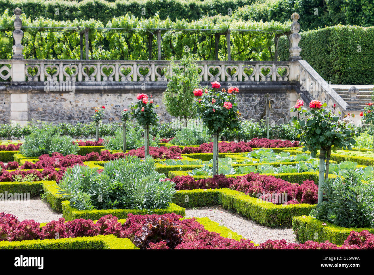 Chateau Villandry Gardens Loire Valley France Stock Photo - Alamy
