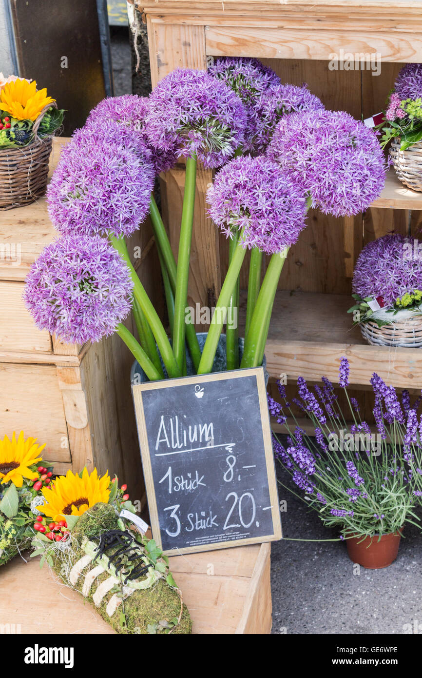 Blooming lucerne hi-res stock photography and images - Alamy