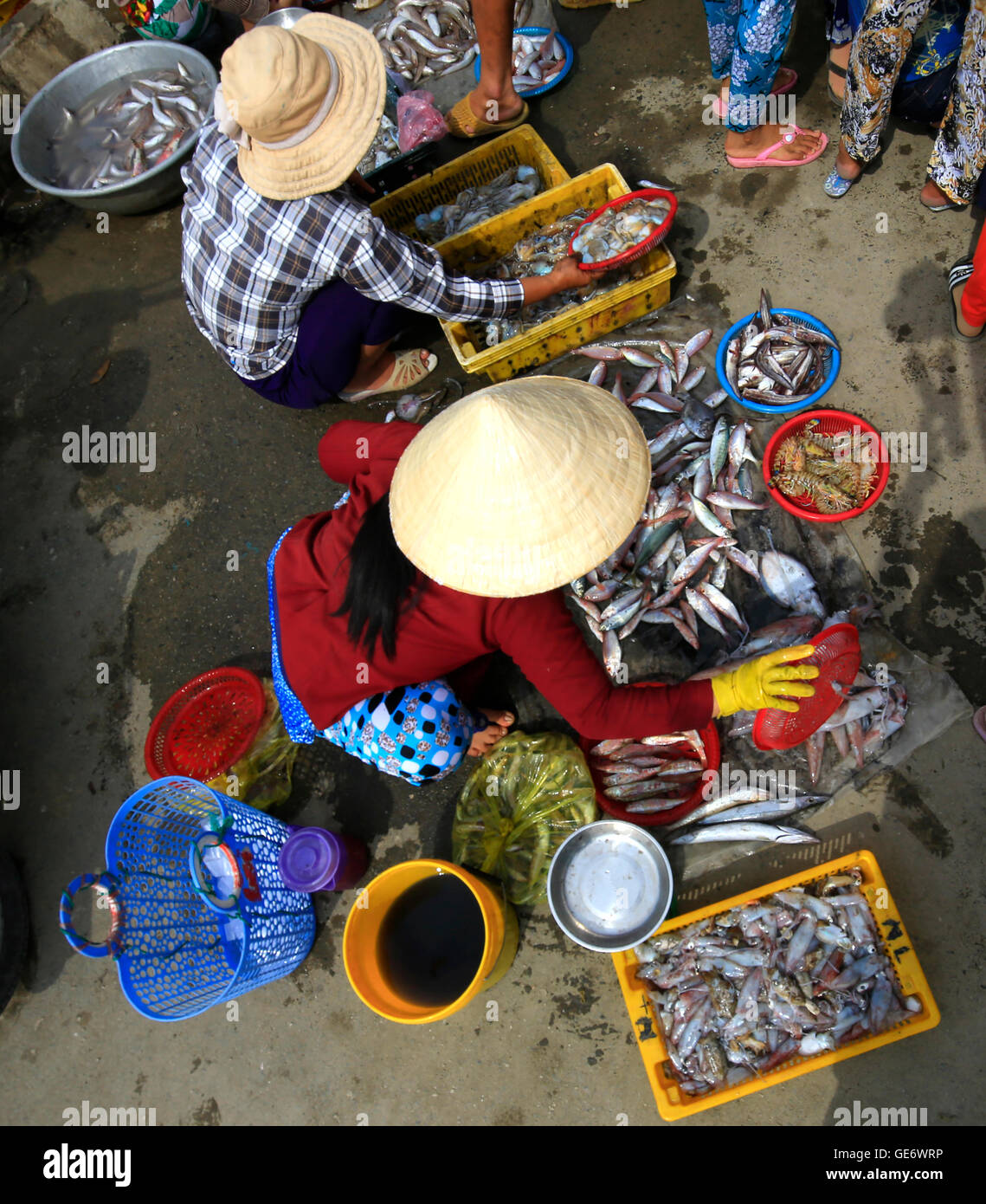 Scenery of several market-woman at a fish market Stock Photo - Alamy