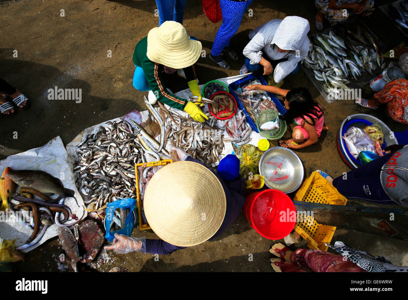 Scenery of several market-woman at a fish market Stock Photo - Alamy