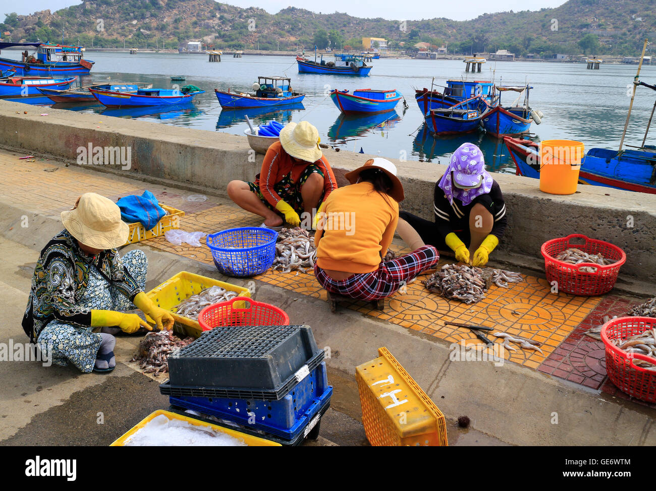 Scenery of several market-woman at a fish market Stock Photo - Alamy
