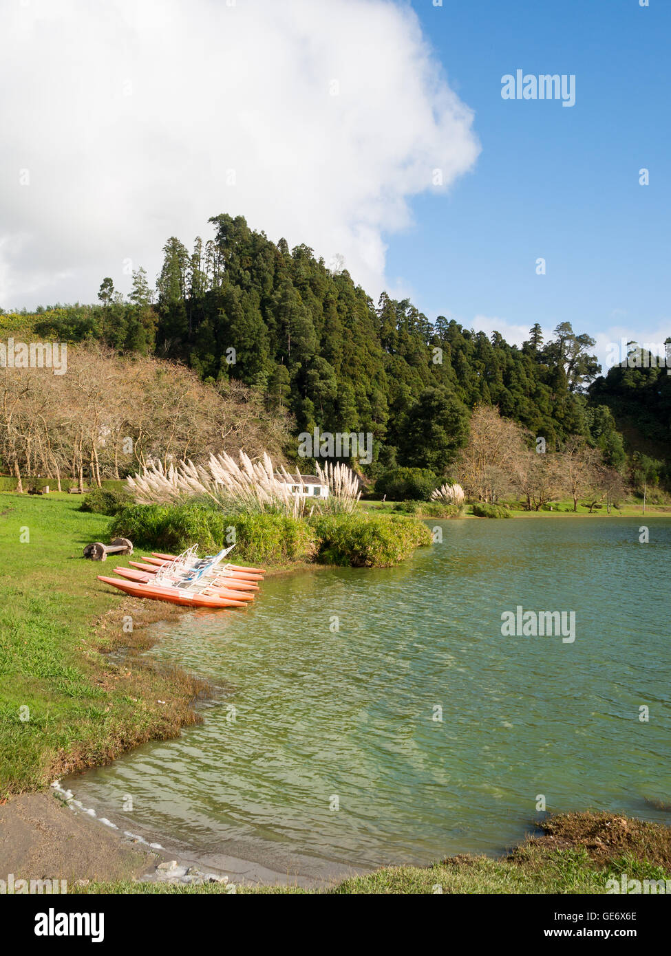 Furnas lake in azores hi-res stock photography and images - Alamy