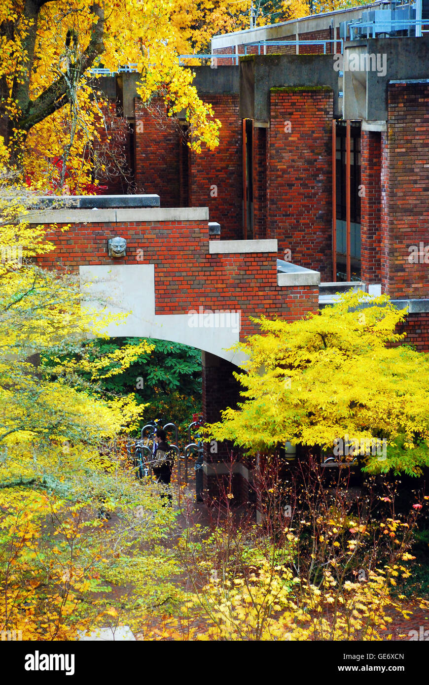Autumn leaves in front of red brick building Stock Photo - Alamy
