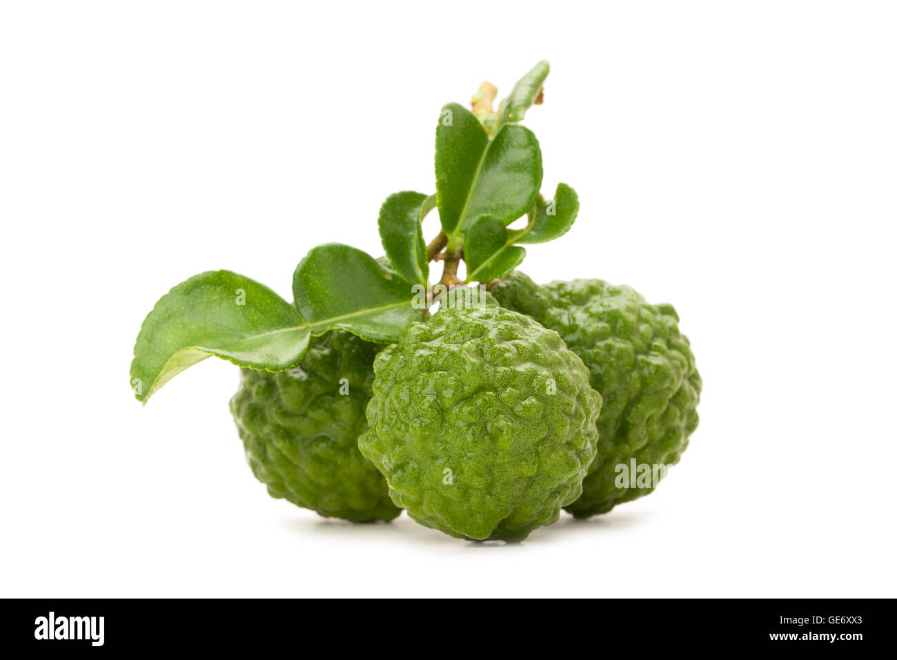 Kaffir lime fruit hi-res stock photography and images - Alamy