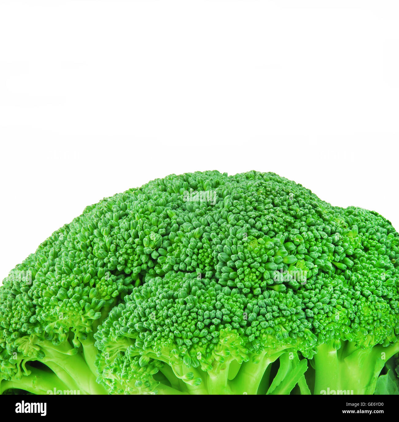 Broccoli head hi-res stock photography and images - Alamy