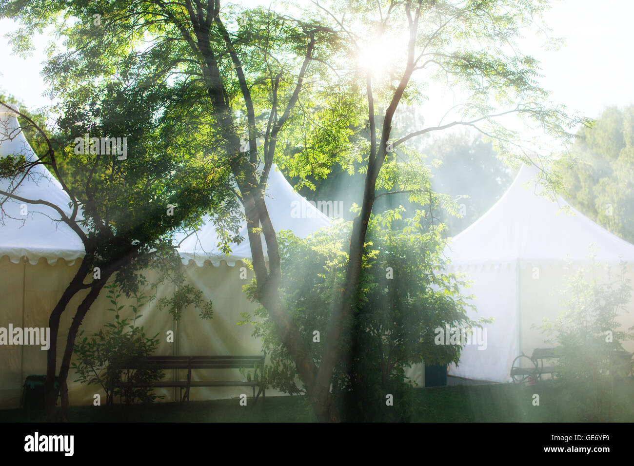 Sunny day in city park. Landscape nature background Stock Photo - Alamy