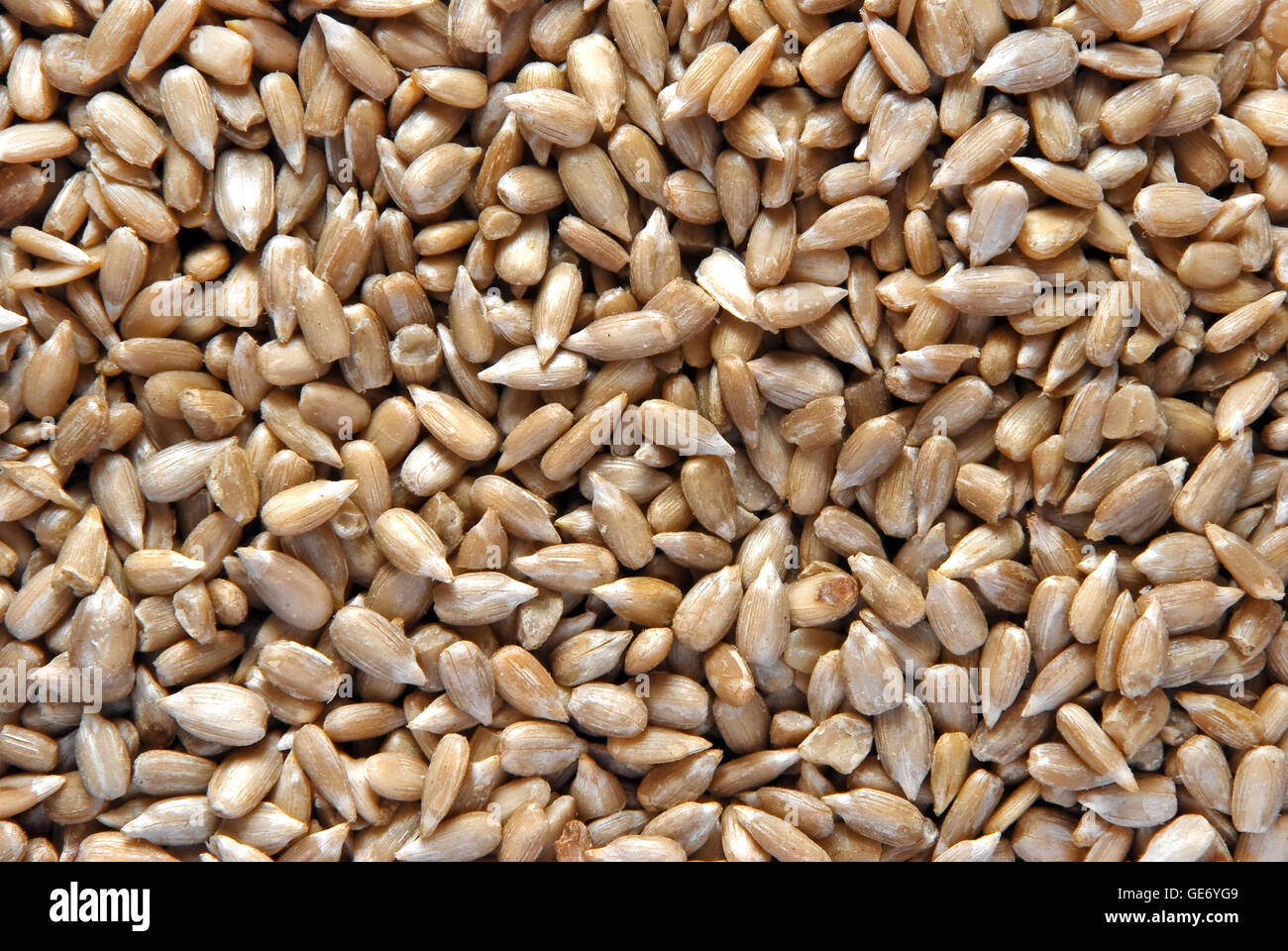 Core seeds hi-res stock photography and images - Alamy