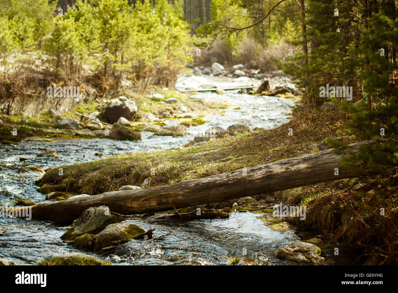 Nature background with mountain river landscape. Selective focus Stock ...